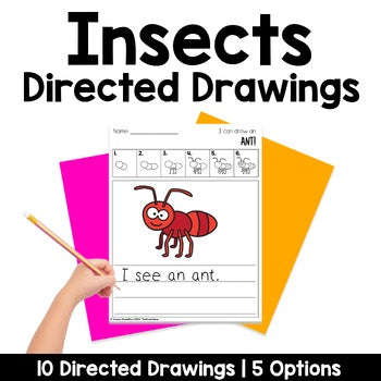 Insect Directed Drawings | Bugs | Spring – ThatKinderMama