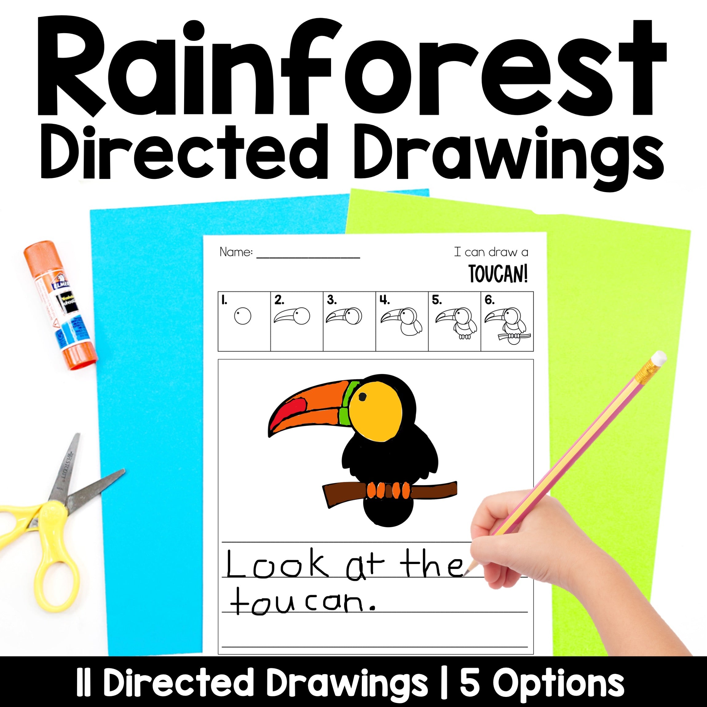 Rainforest Directed Drawings – ThatKinderMama