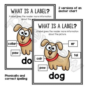 I Can Label a Picture | Kindergarten Writing | Workshop | Labeling ...